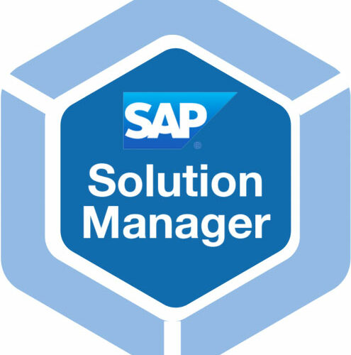 SAP SOLUTION MANAGER